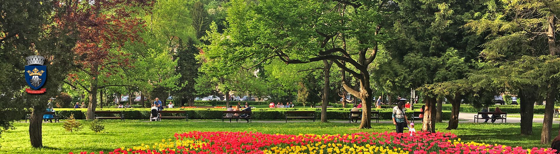 Acasă / Site-ul oficial al Primariei Municipiului Brasov / www ...